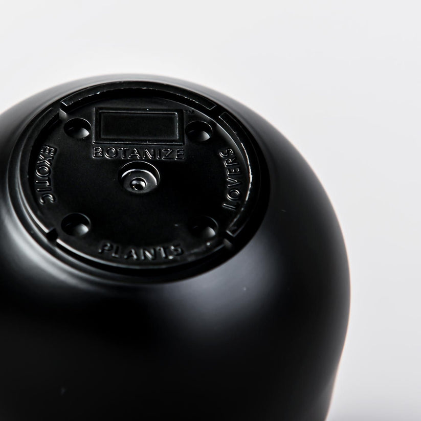 BOTANIZE PLA POT BOWL “Black” φ11cm