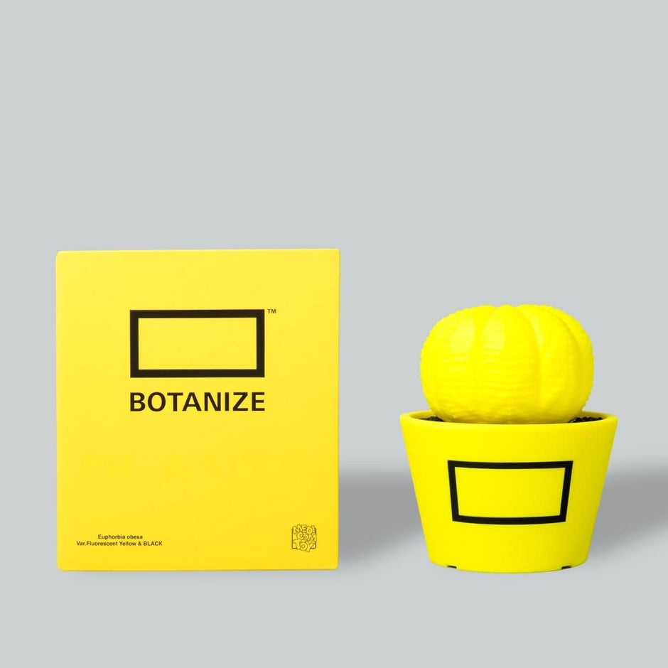 MEDICOM TOY – BOTANIZE