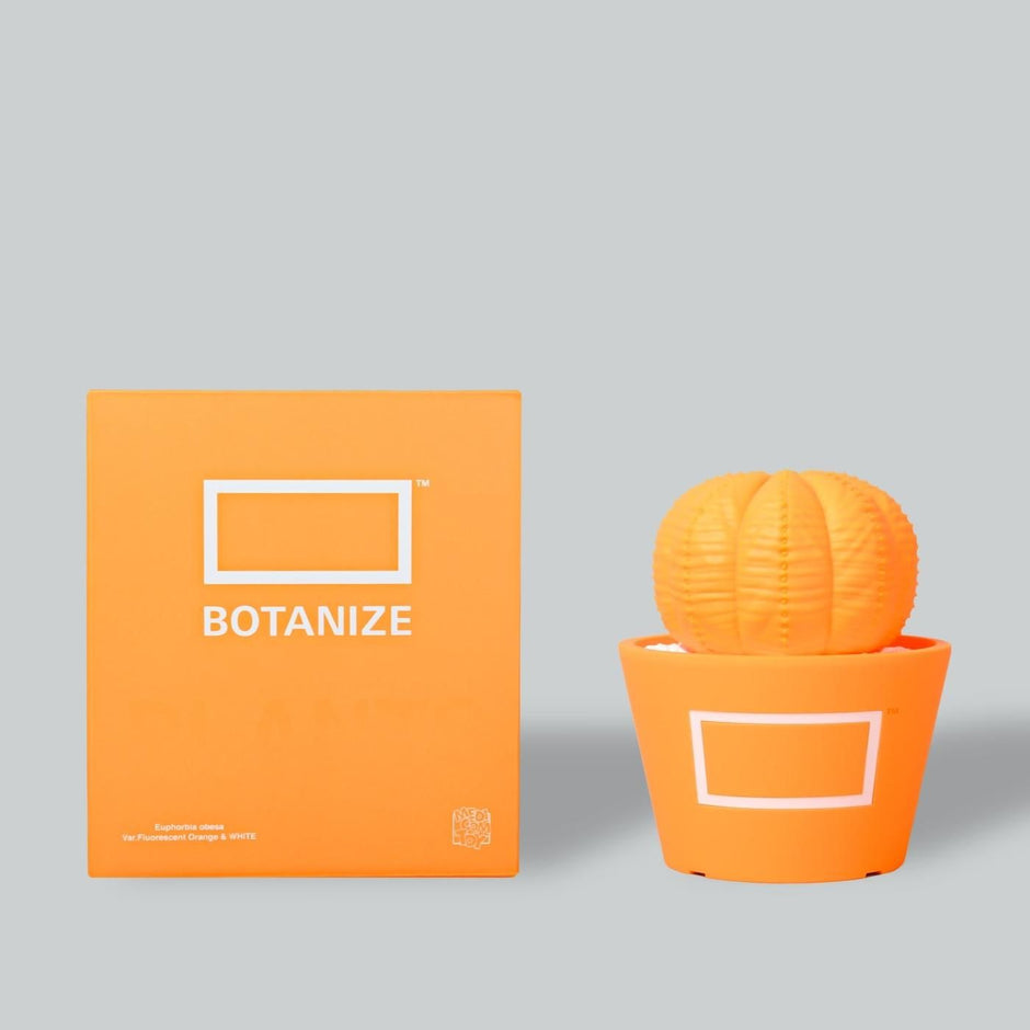 MEDICOM TOY – BOTANIZE